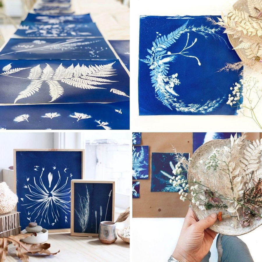 INDIGO BOTANICAL CYANOTYPE WORKSHOP | Little Lane Workshops | Sydney ...